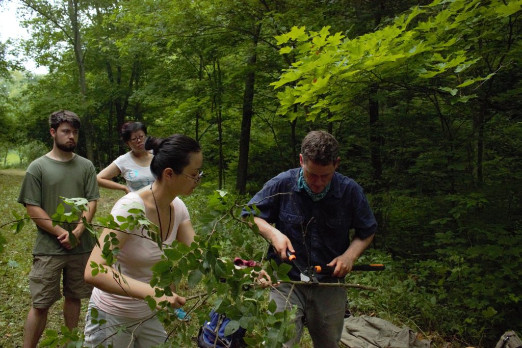 Descending from the Ivory Tower: Perin Ellsworth-Heller ’17 at Thoreau ...