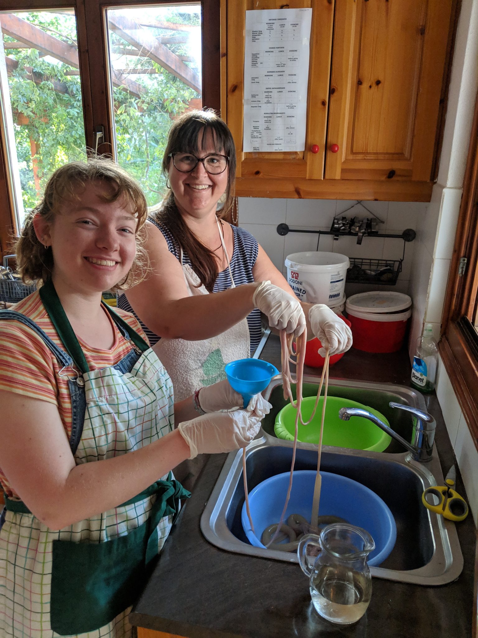 More Than A Home: Delaney Schlesinger-Devlin ’22 at Estia Agios ...