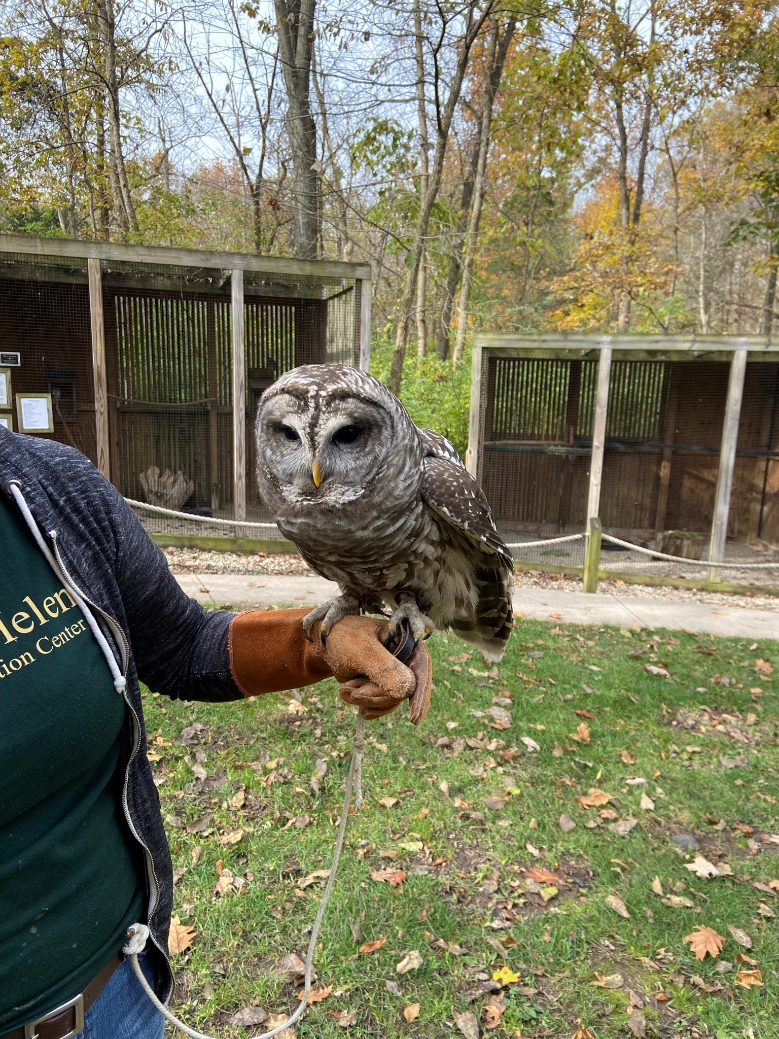 Flying High: Alexa Greer ’22 at the Glen Helen Raptor Center in Yellow ...