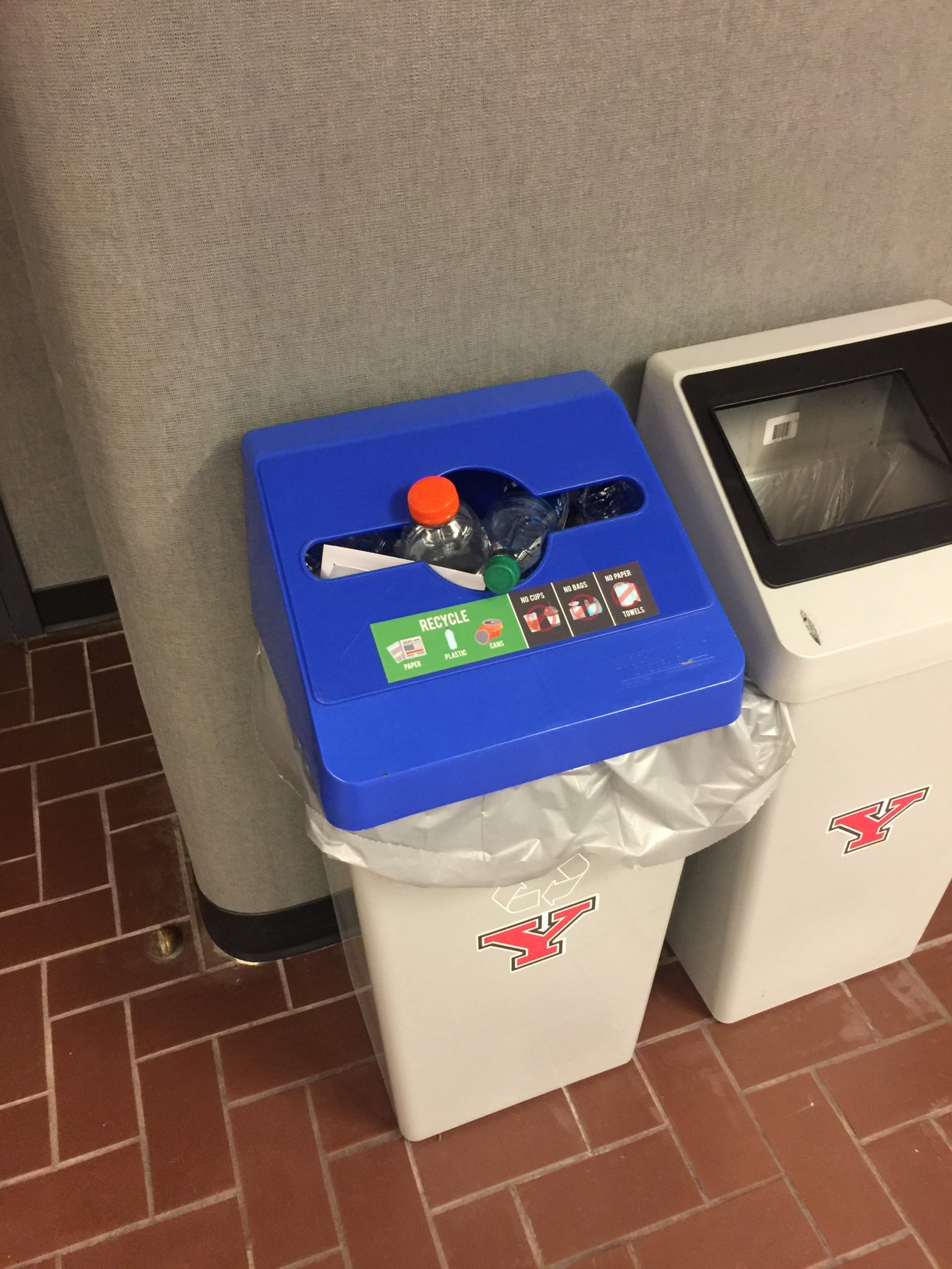 Working for a College Recycling Program: David Klasovsky ’23 at Penguin ...